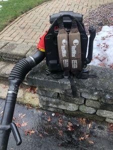 Comparing RedMax EB7001 Vs. Echo PB-580T Backpack Leaf Blower Review ...