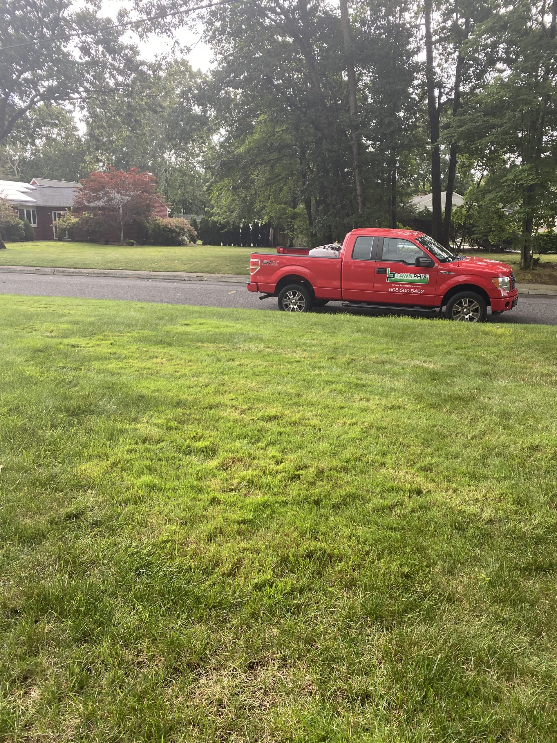 Light Green Patches In Lawn (Answers To Lime Green Sections) Lawn Phix